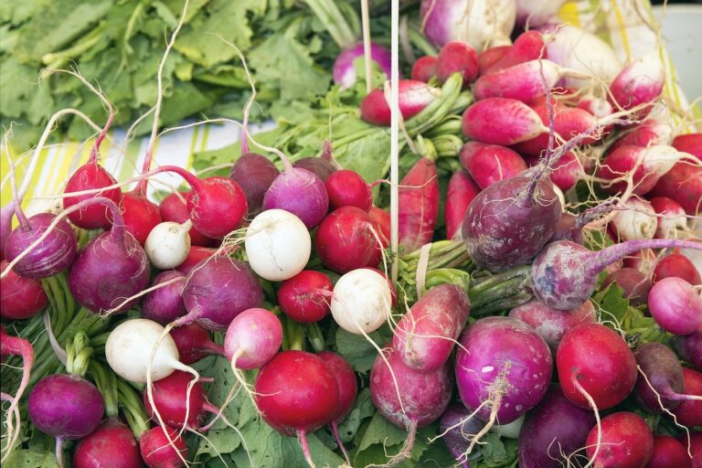 23 Vegetables and Herbs You Can Regrow From Kitchen Scraps