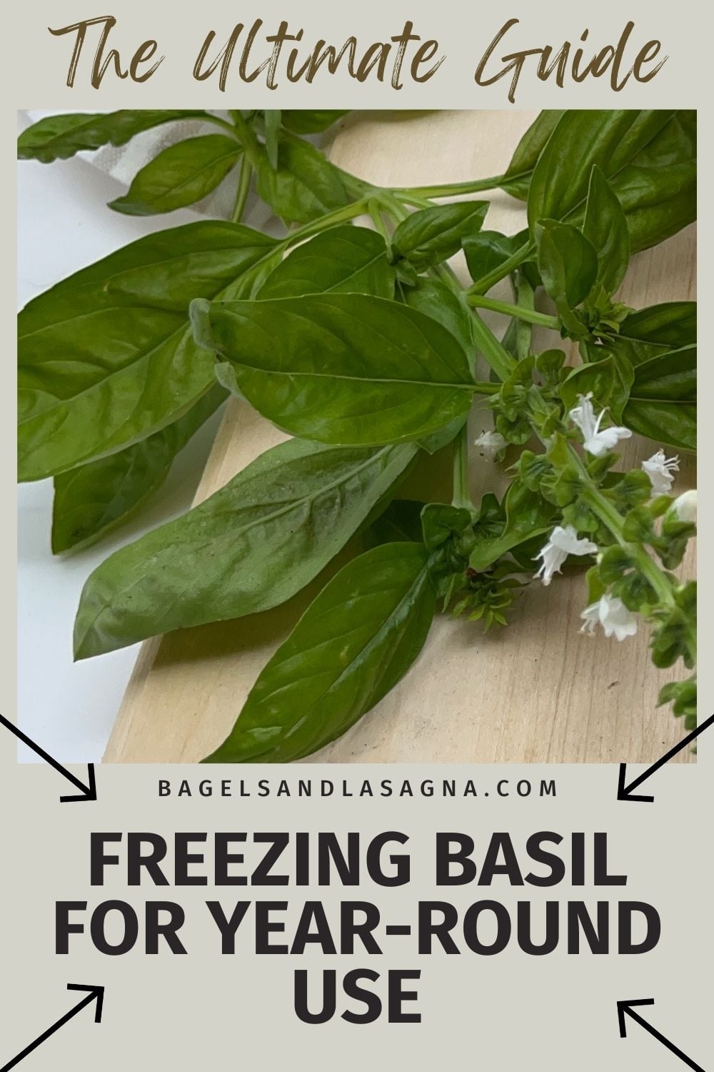 How to Cook with Fresh Basil