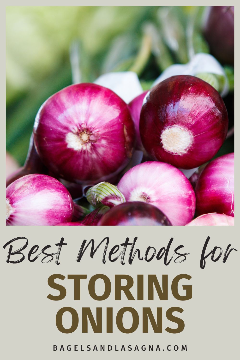 How to Store Onions the Right Way