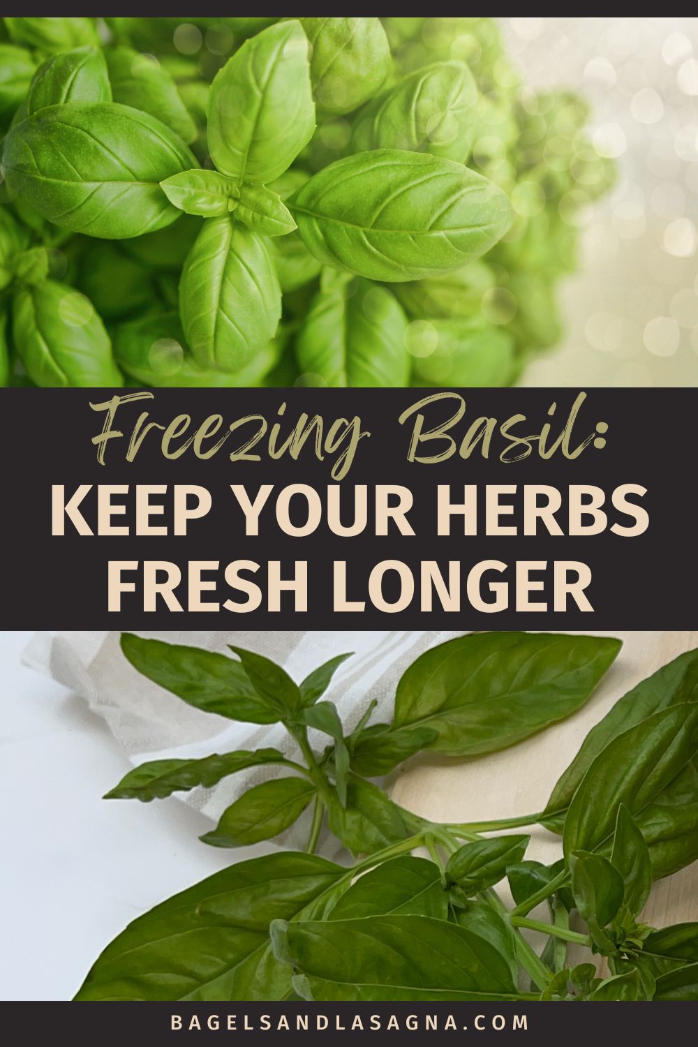 How to Cook with Fresh Basil