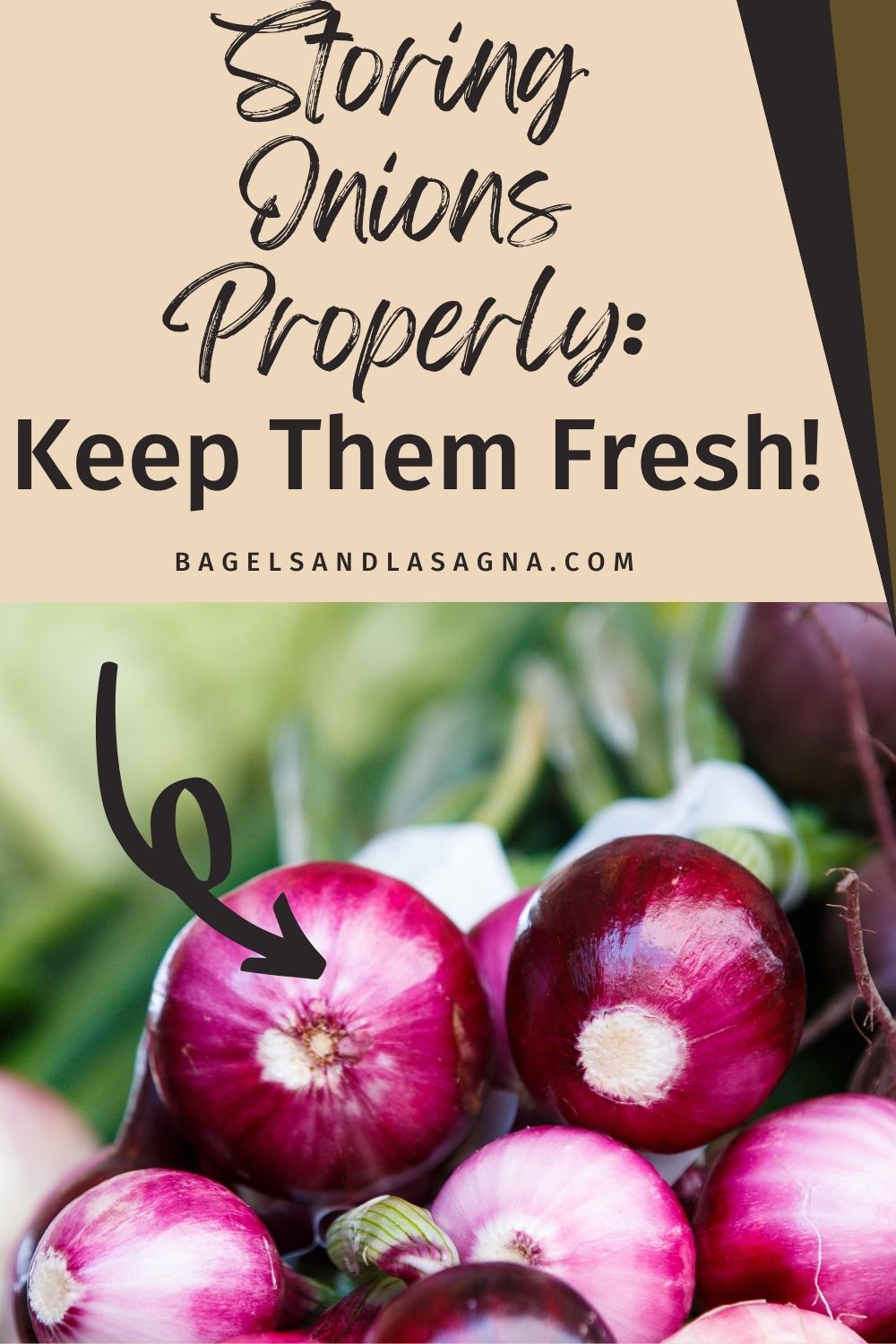 How to Store Onions the Right Way